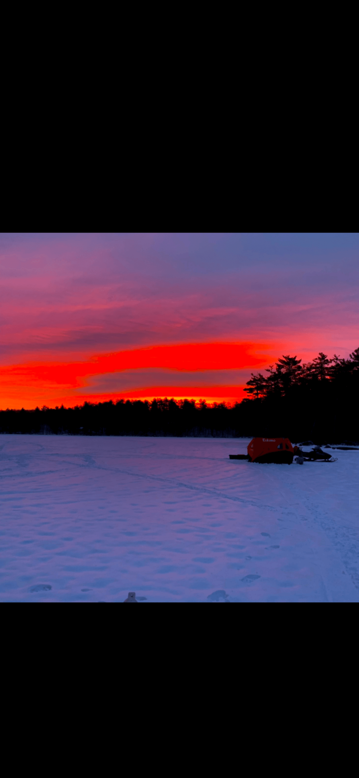 Winter Wrap Up - Peterson's Guide Service